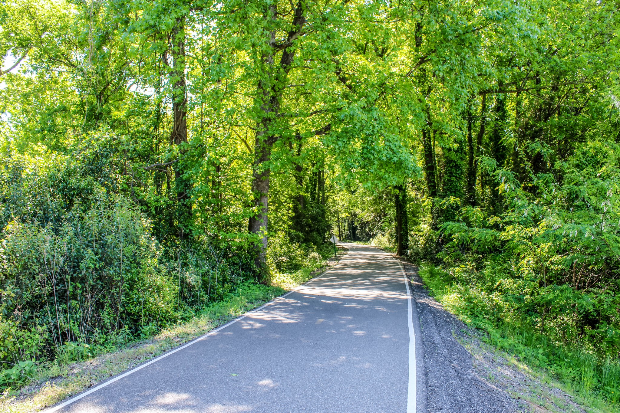 Riverview Park - Explore North Augusta